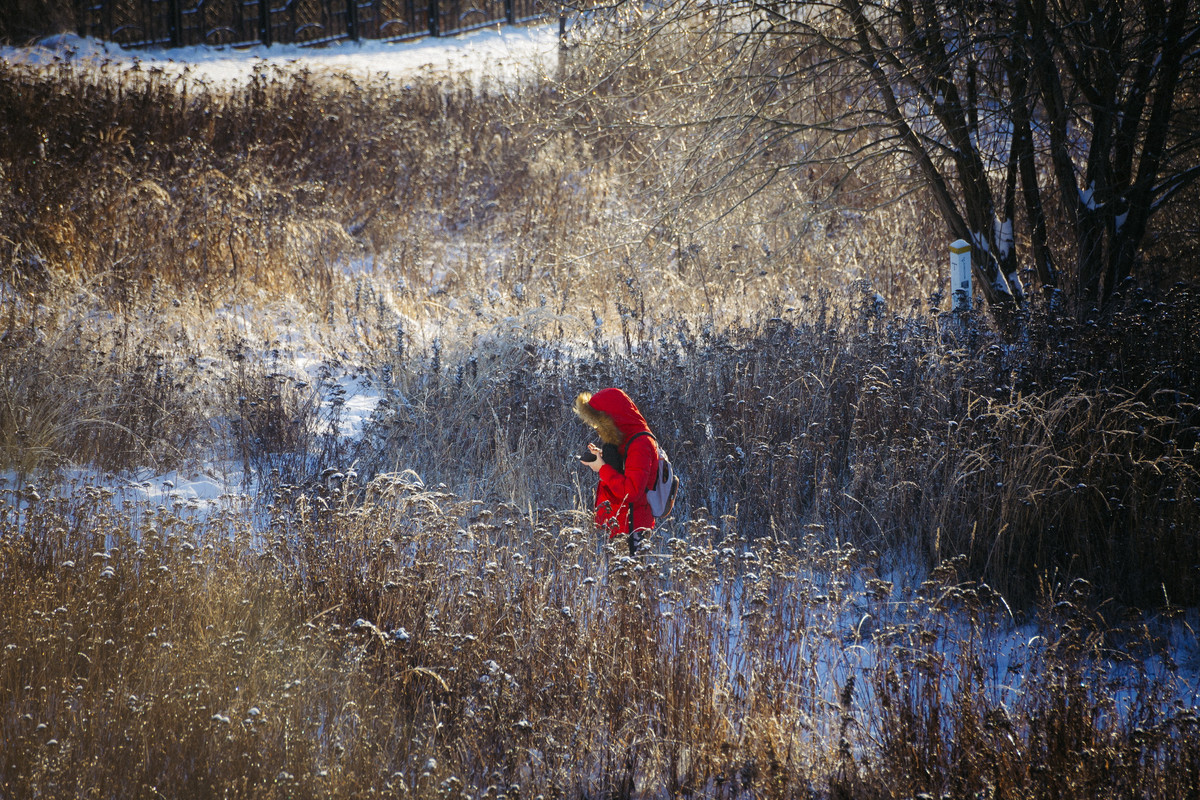 0076 2022 11 30 1 Ds m3 DMR 0136 — Postimages