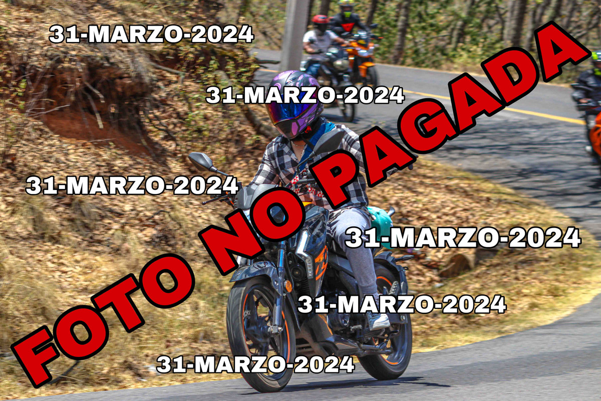 LC 495 — Postimages