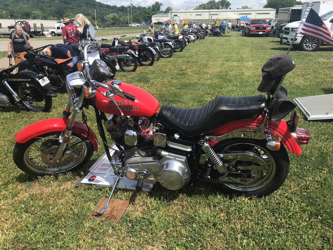 IMG 8233 — Postimages