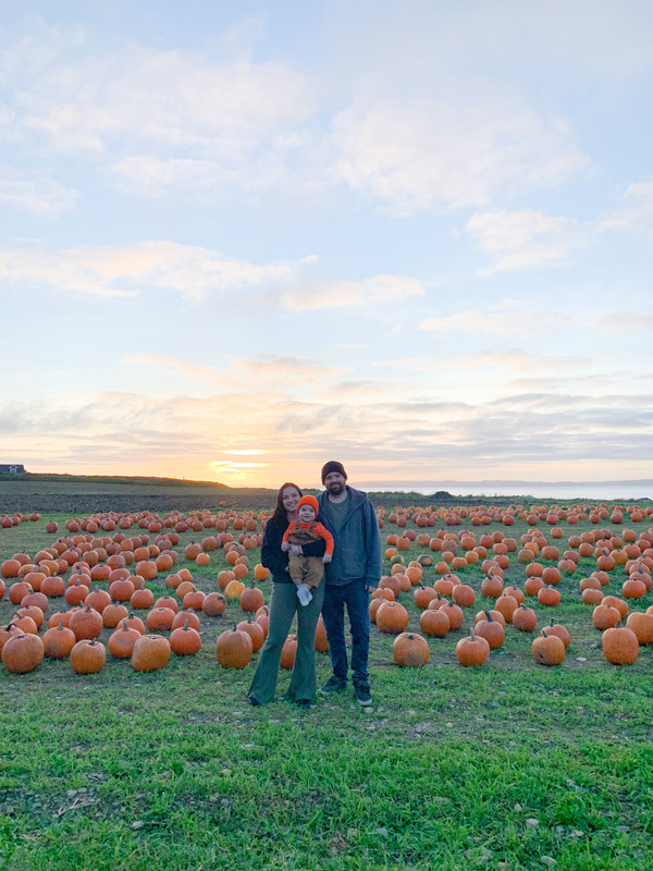 bright — Postimages