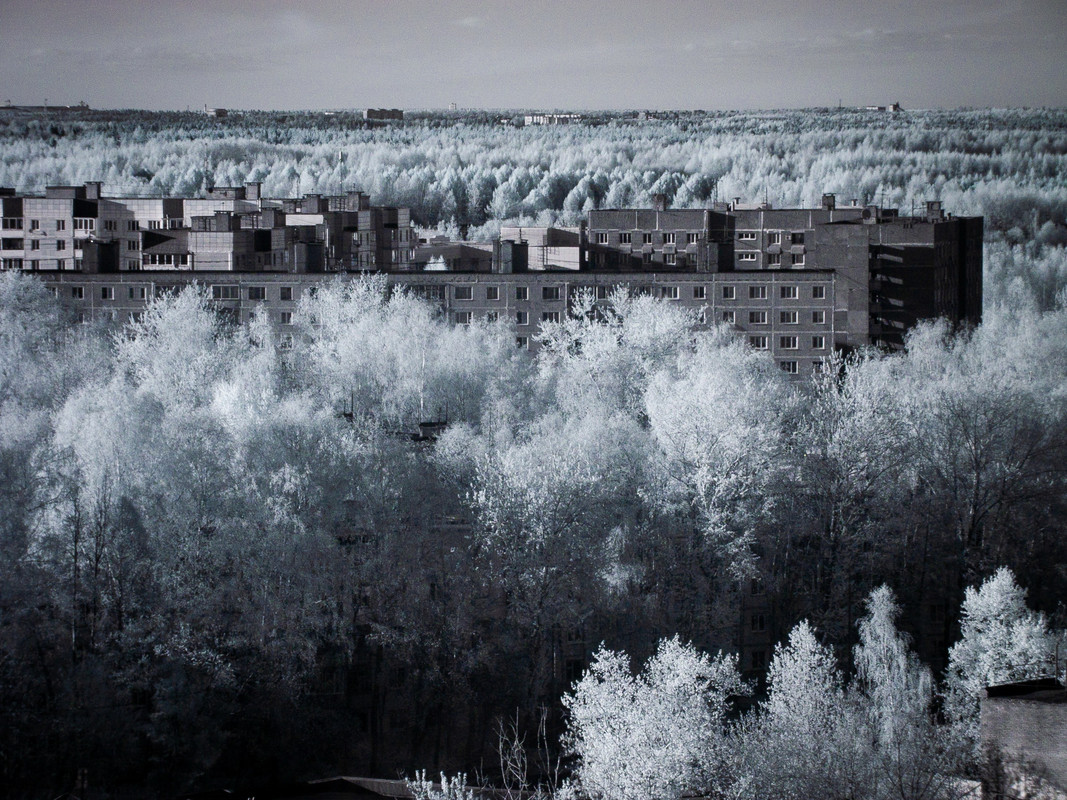 0054 2024 04 29 DSC00750 — Postimages