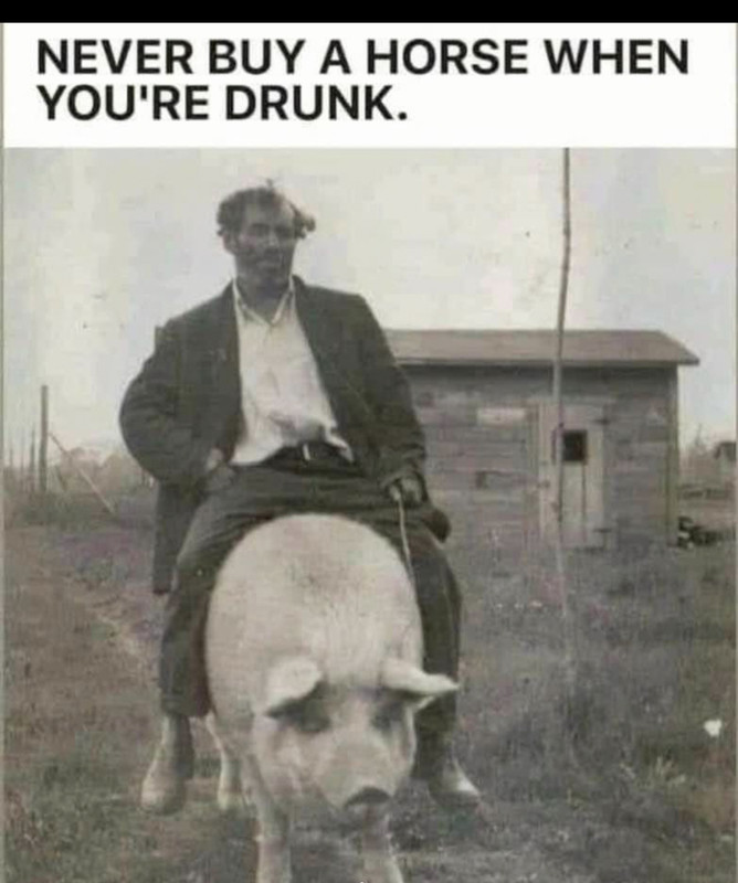 IMG 5005 — Postimages