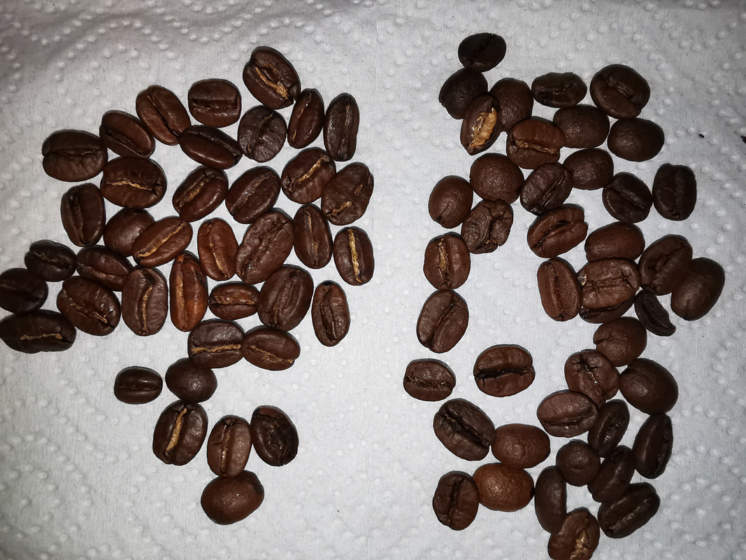 IMG 20231104 173632 — Postimages