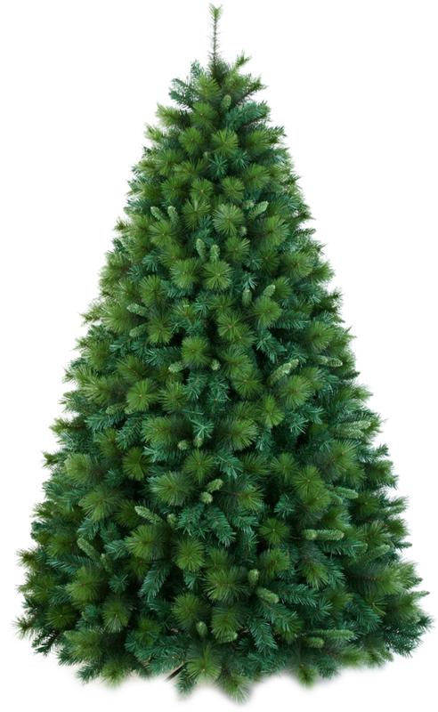 xmas pine tree png 14 by iamszissz d866tzf zpsbh — Postimages