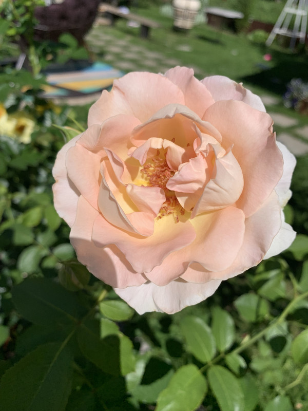 IMG 4975 — Postimages