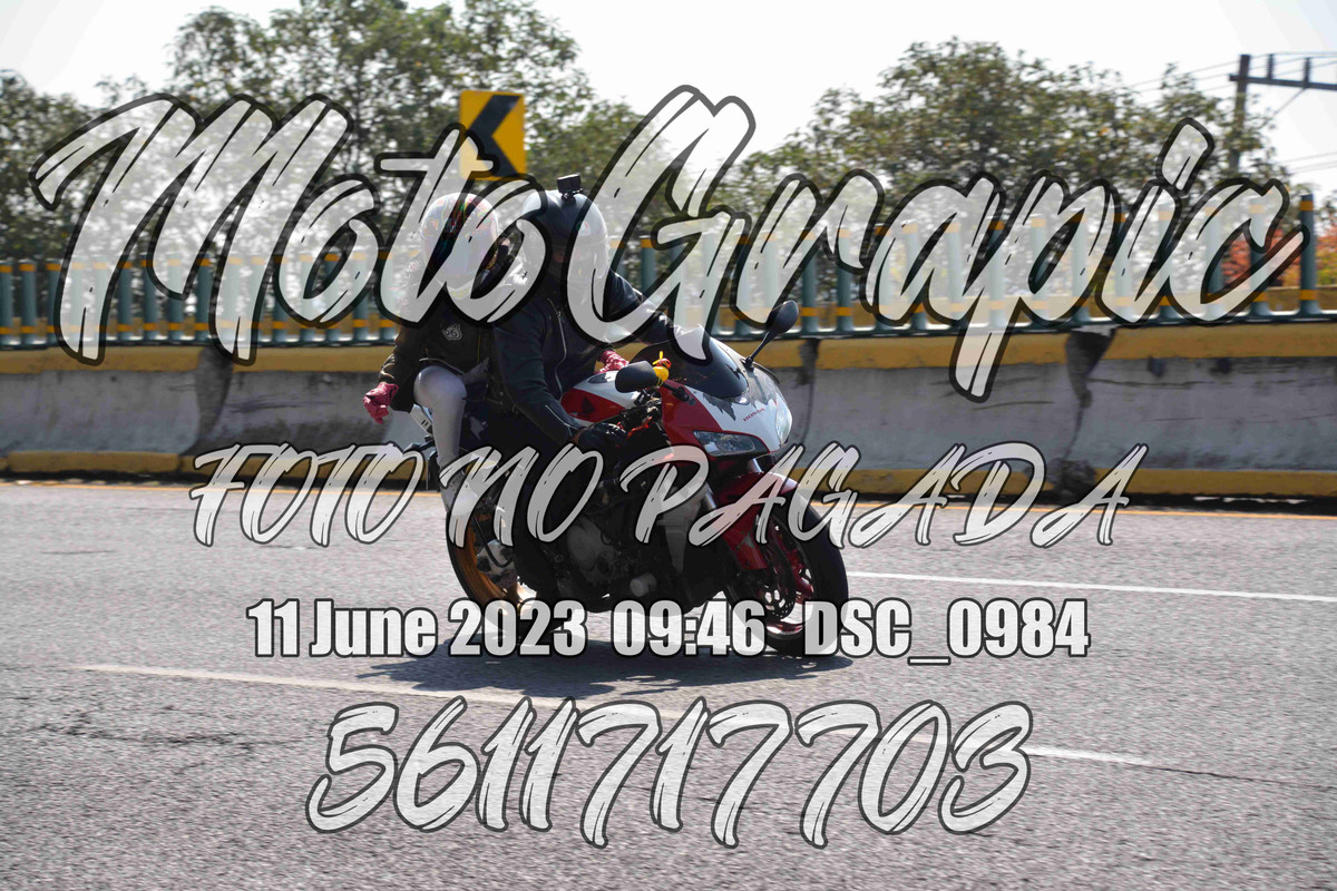 motgr DSC 0984 — Postimages