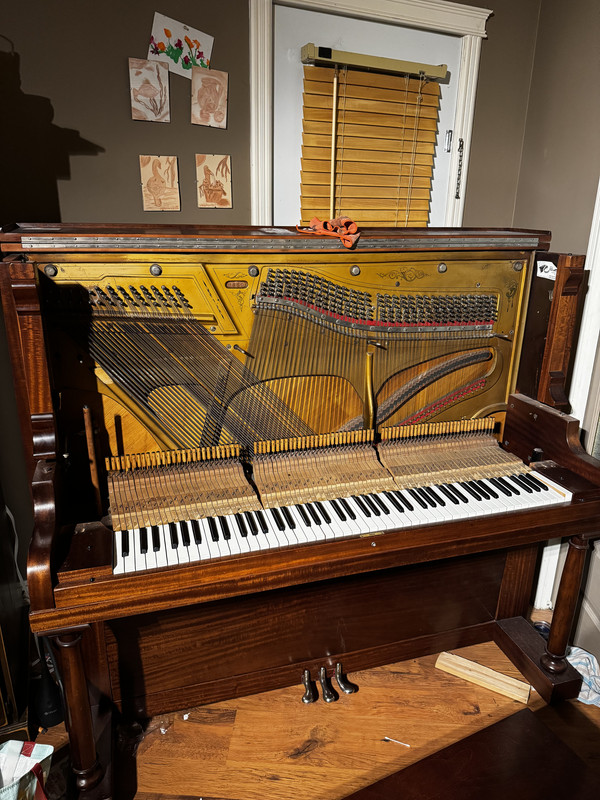 IMG 3693 — Postimages