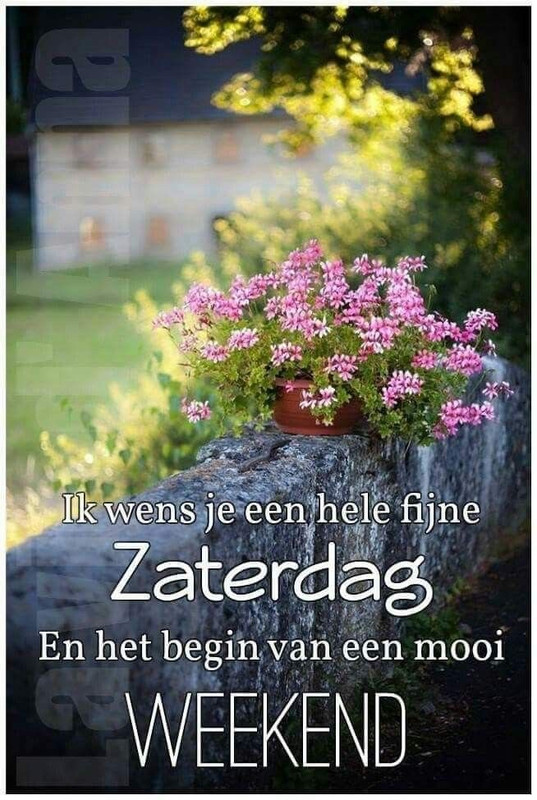 IMG 6663 — Postimages