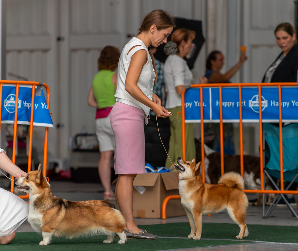 430 CR2 — Postimages