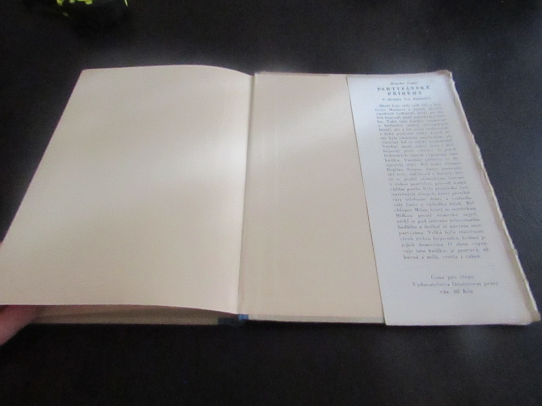 IMG 7432 — Postimages