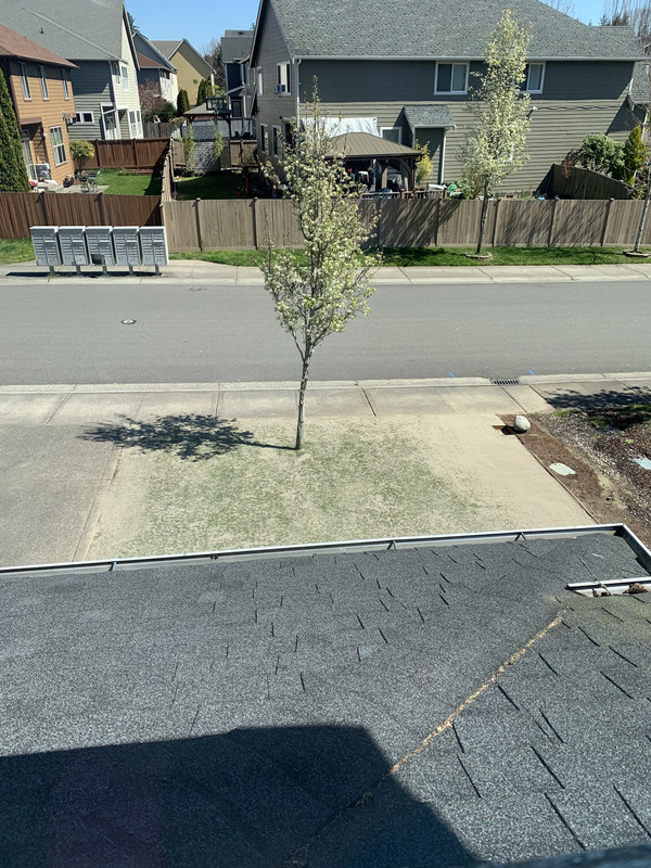 Sand Down — Postimages