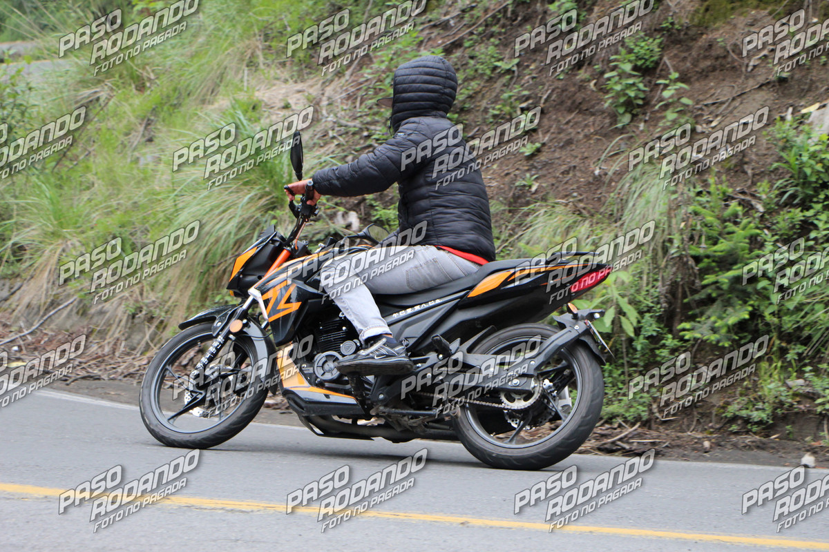 IMG 8067 wm 1235602 9 watermarked — Postimages