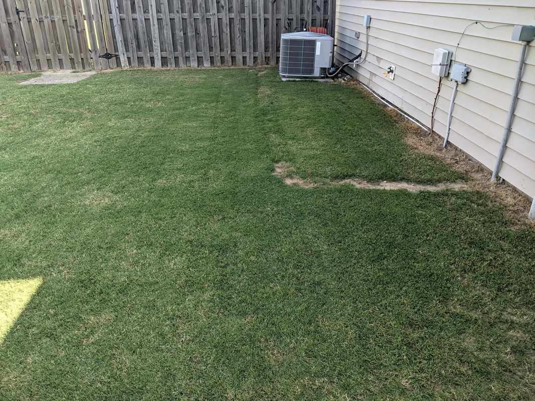 2021 05 21 front yard 3 — Postimages