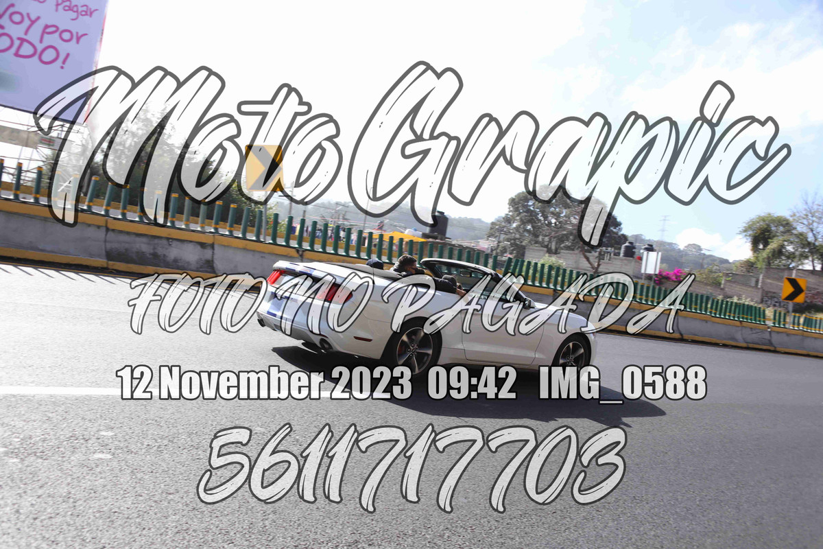 motgr IMG 0588 — Postimages