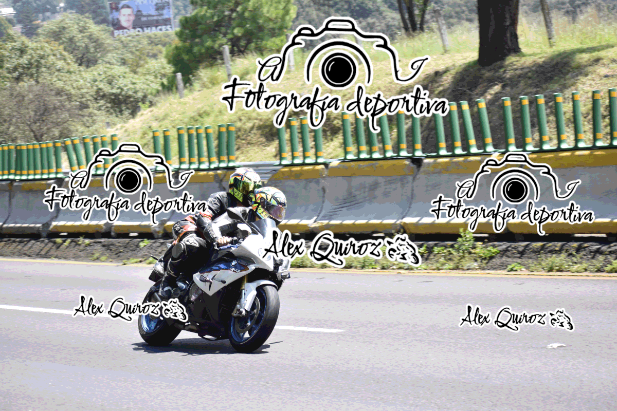 DSC 2599 — Postimages