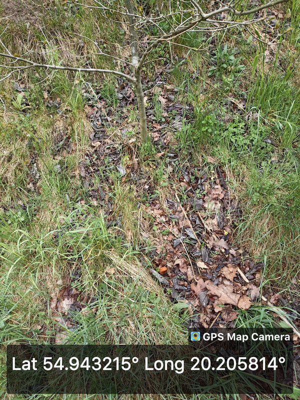 20230516 132054 вторник 360 By GPSMap Camera — Postimages