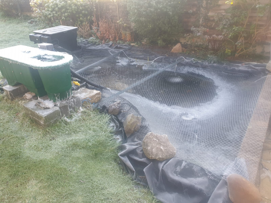 Winter filter pipes - Pond Fish Forum - Pond Life