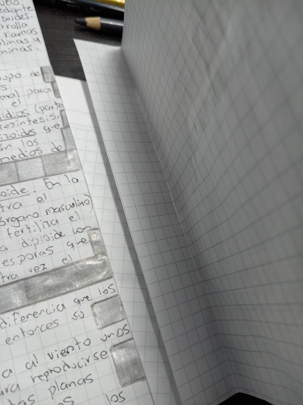Minecraft Crafter Graphic Organizer