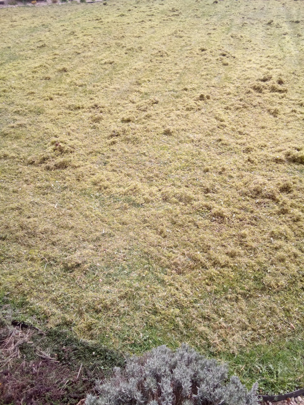 IMG 20240317 110237 321 — Postimages