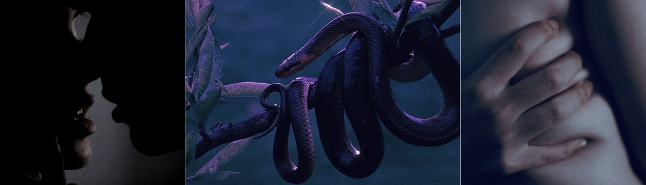 Venom’s Kiss - mrs_alberich - Pocket Monsters | Pokemon (Main Video ...