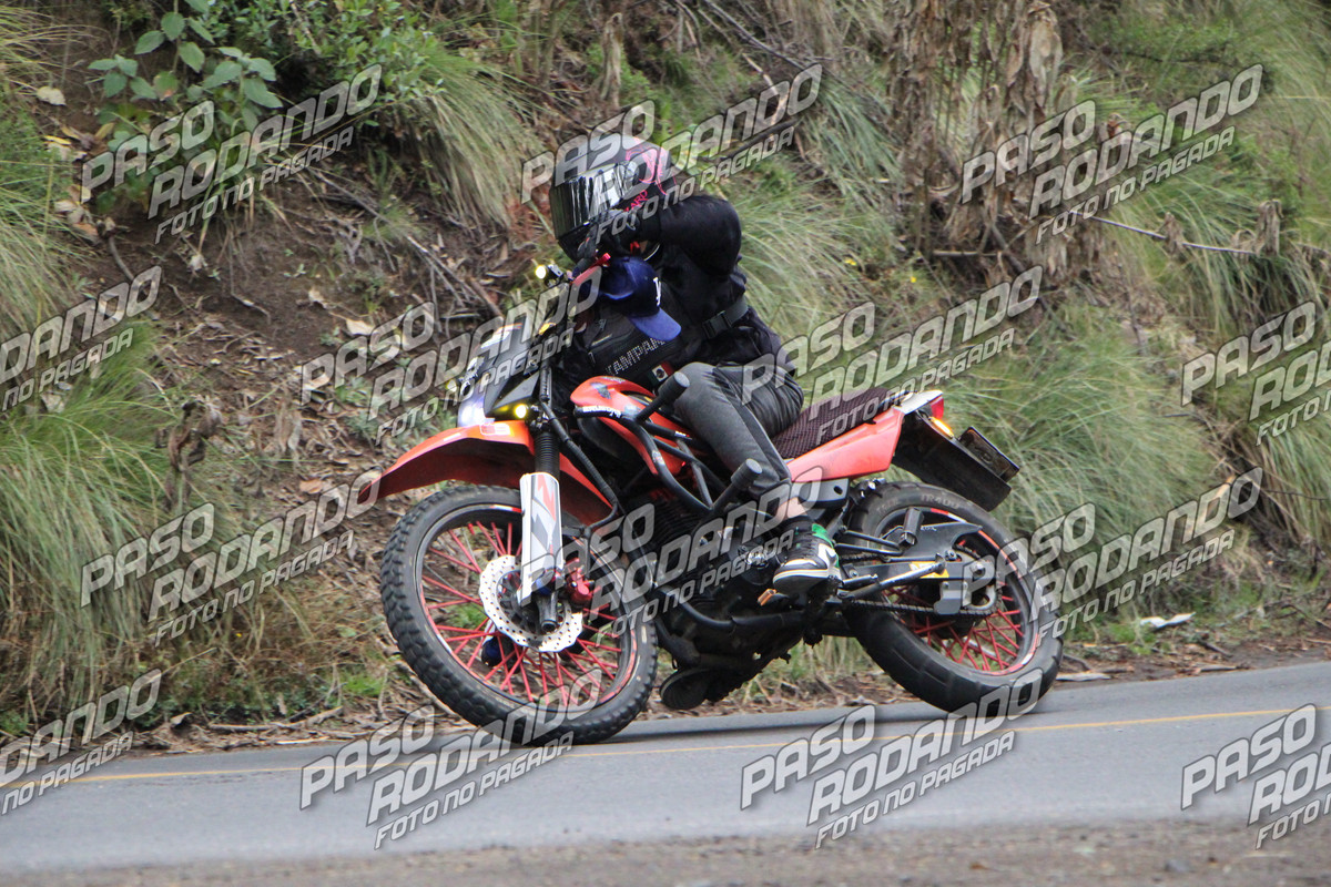 IMG 0482 wm 3647435 3 watermarked — Postimages