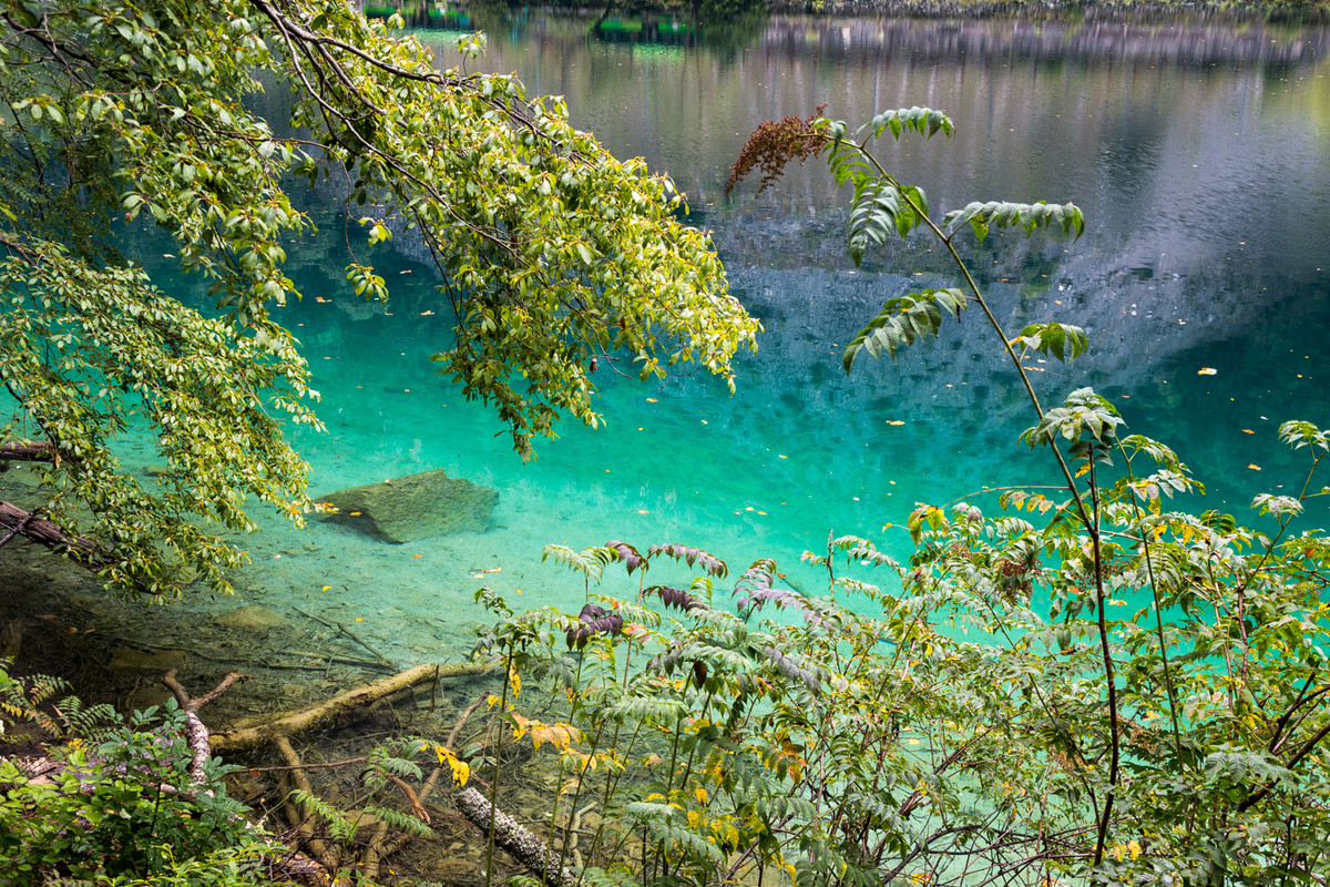 IMG 3622 Jiuzhaigou National Park Panda lake — Postimages