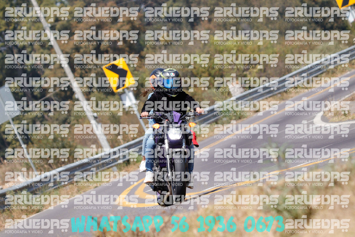 MG 1078 — Postimages