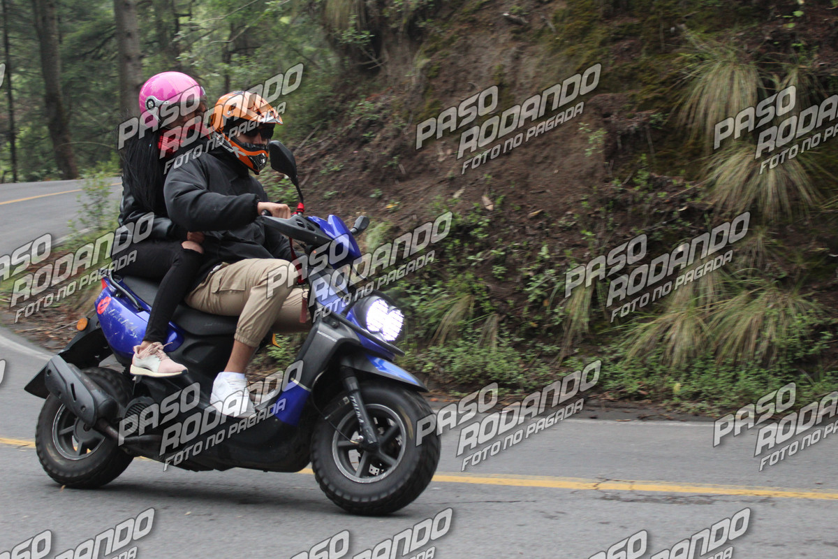 IMG 1681 wm 7273131 1 watermarked — Postimages