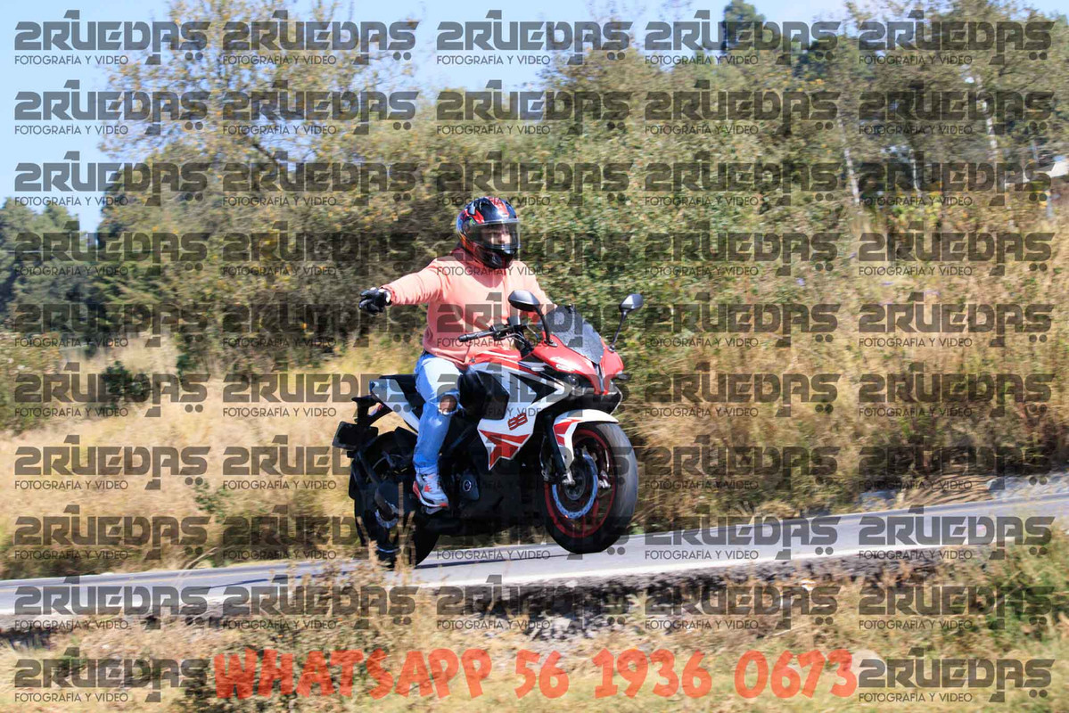 MG 84741 — Postimages