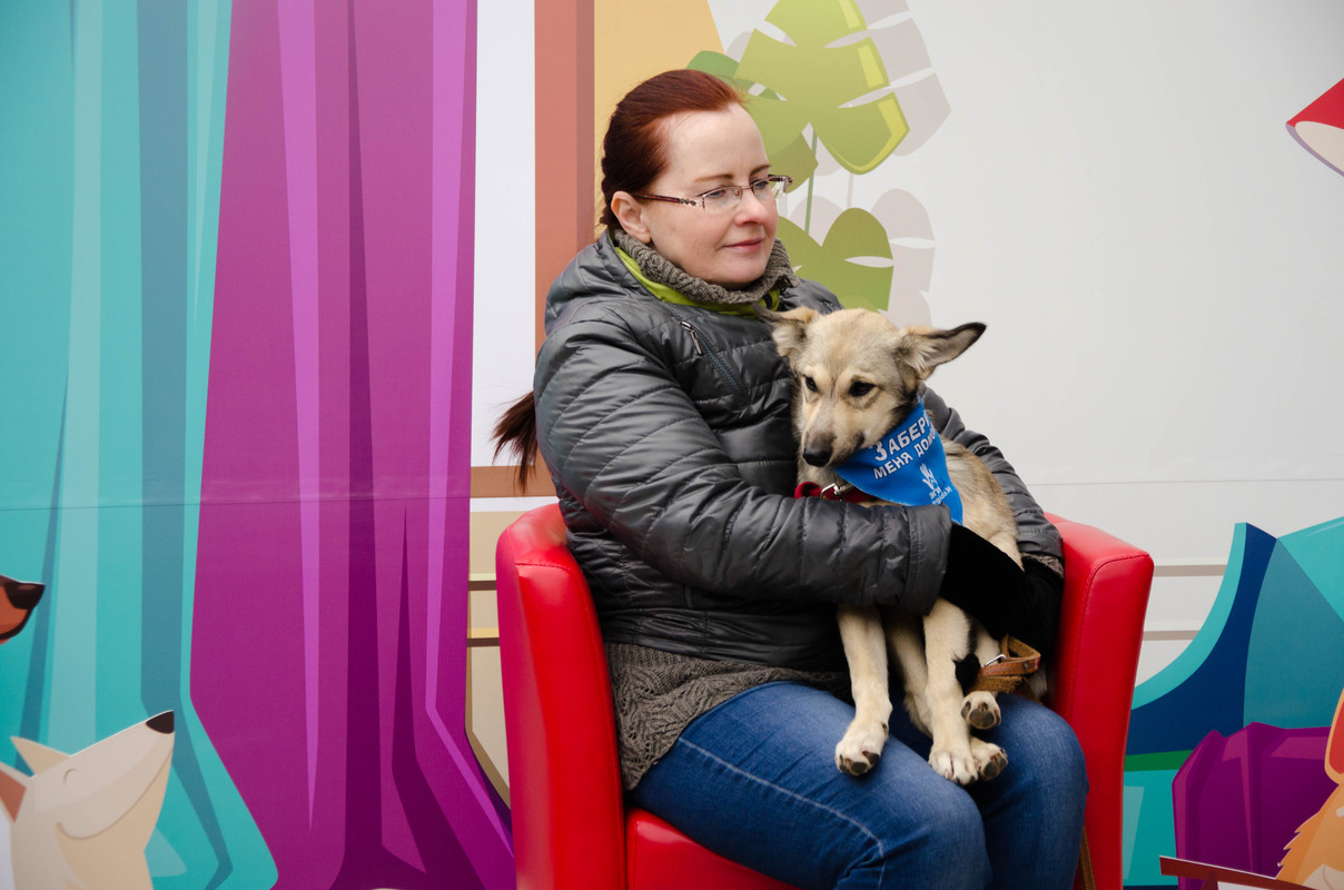 DSC 0255 — Postimages