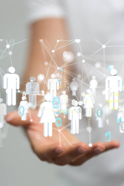 What Are Actually The Key Parts Of The Application Procedure For ...