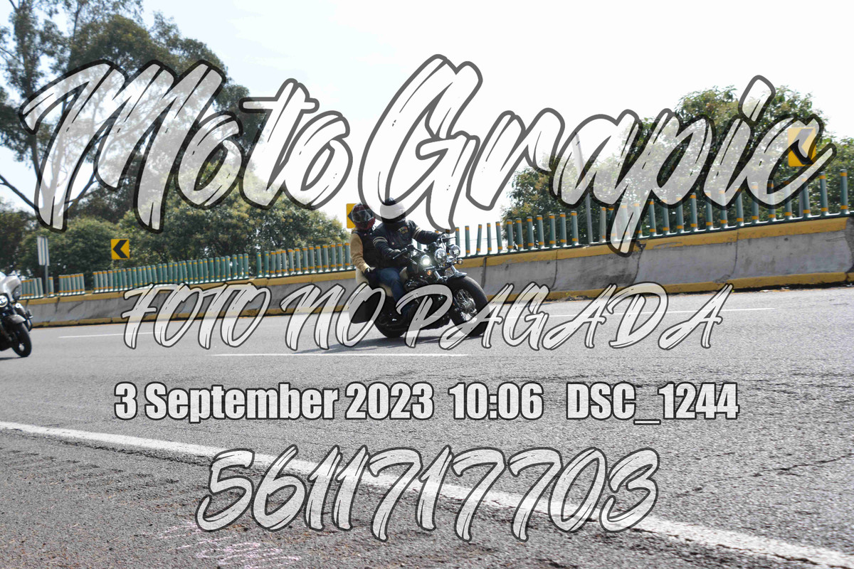 motgr DSC 1244 — Postimages