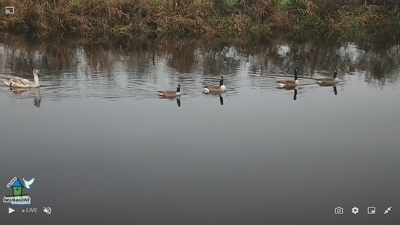 2022 11 30 (4) — Postimages