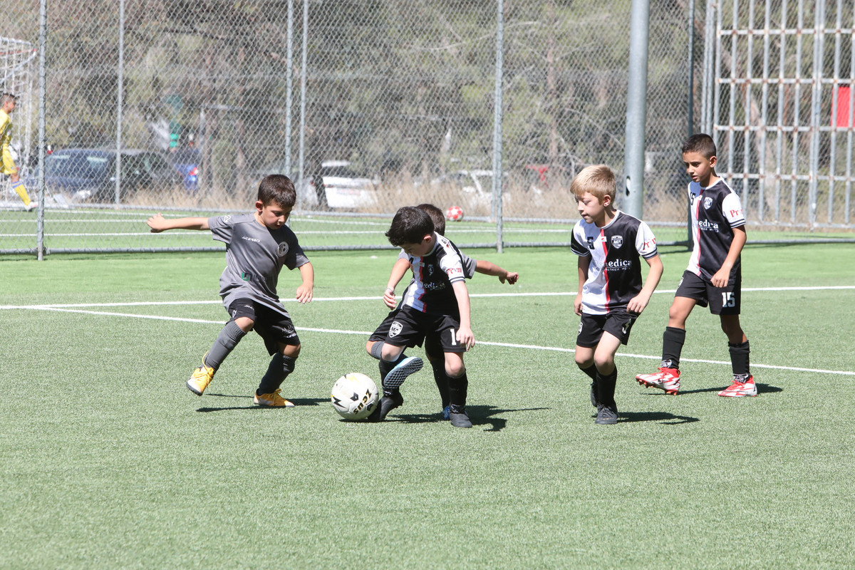 NIC 9576 — Postimages