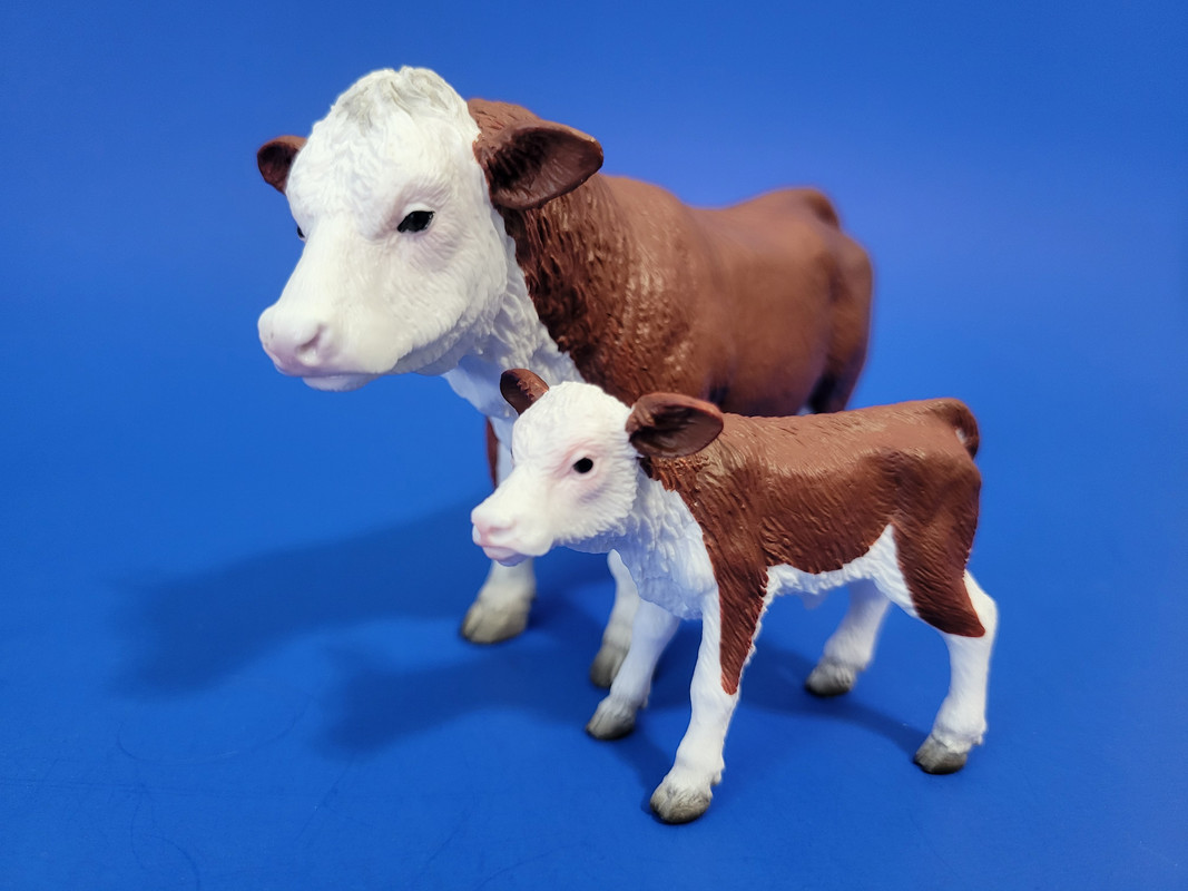New 2024 Mojo Fun Hereford bull and calf