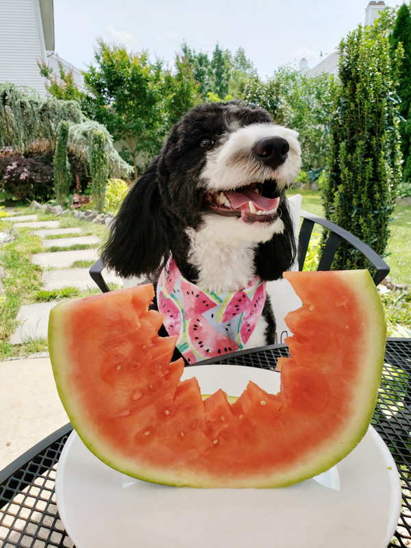 20210608 125149 — Postimages