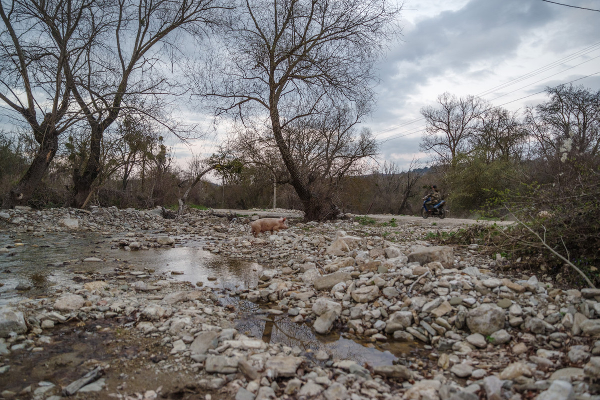 V0001091 1600 — Postimages