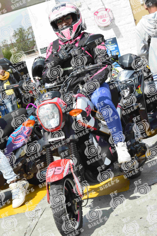 batch DSC 0339 — Postimages