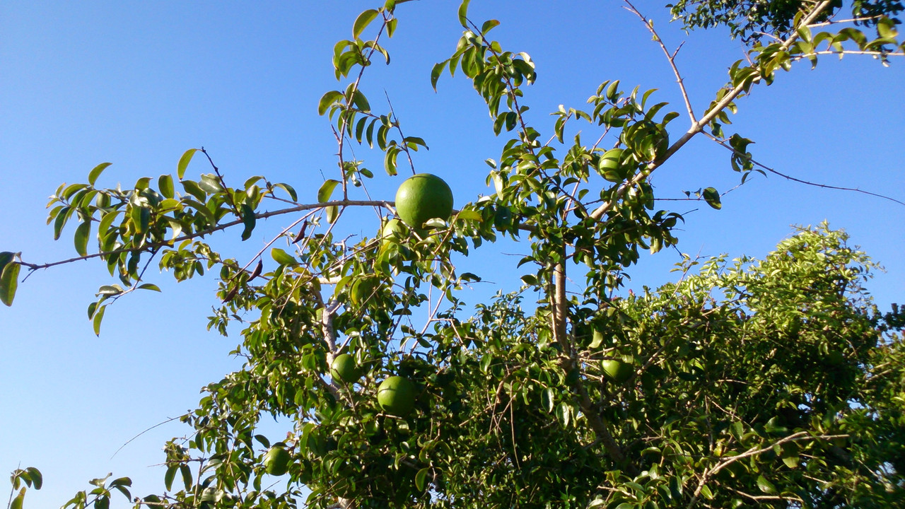 DSC 0528 — Postimages