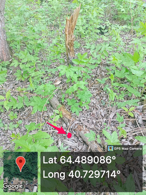 C14204 E9 67 EE 4 D9 D A890 13169 AD917 B3 — Postimages