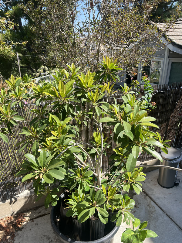 IMG 2761 — Postimages