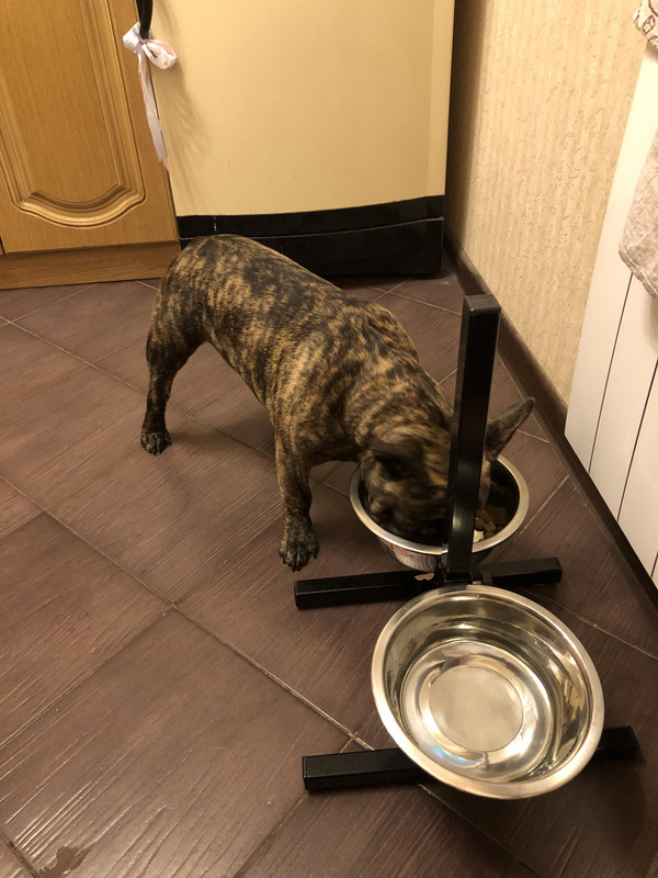 IMG 3152 — Postimages