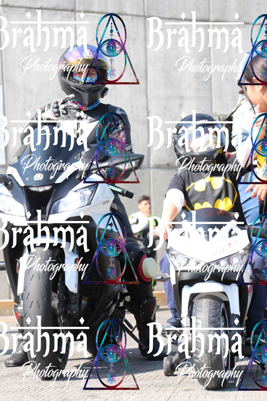 IMG 1237 — Postimages