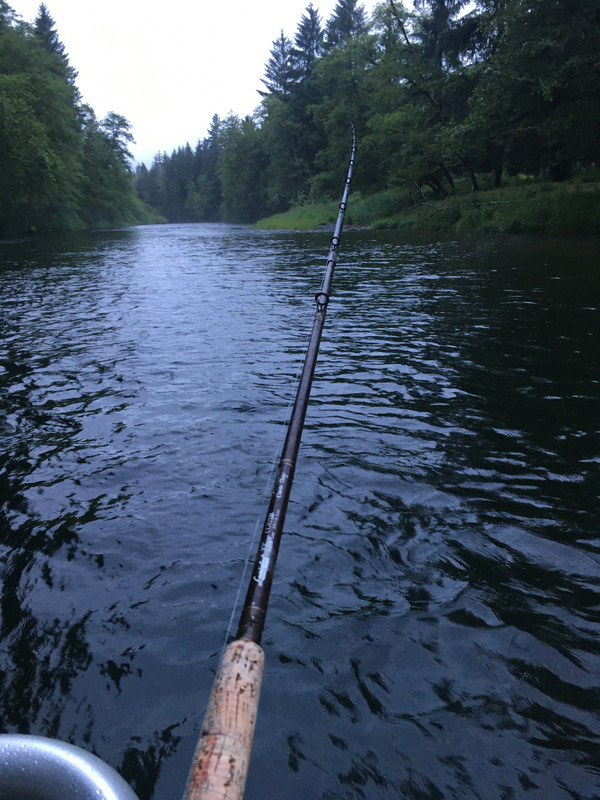 DF51 F2 DD F88 C 485 F 8449 48238 BF57 BFC — Postimages