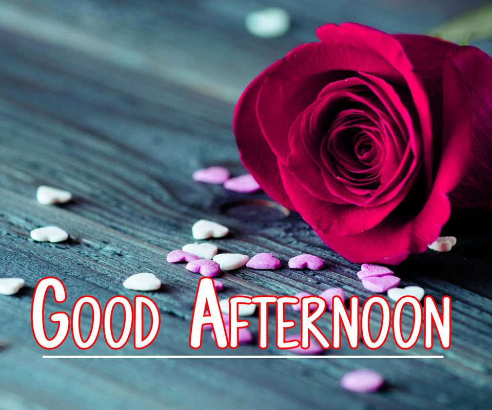 good afternoon pictures hzc4tysnd58hth90 — Postimages