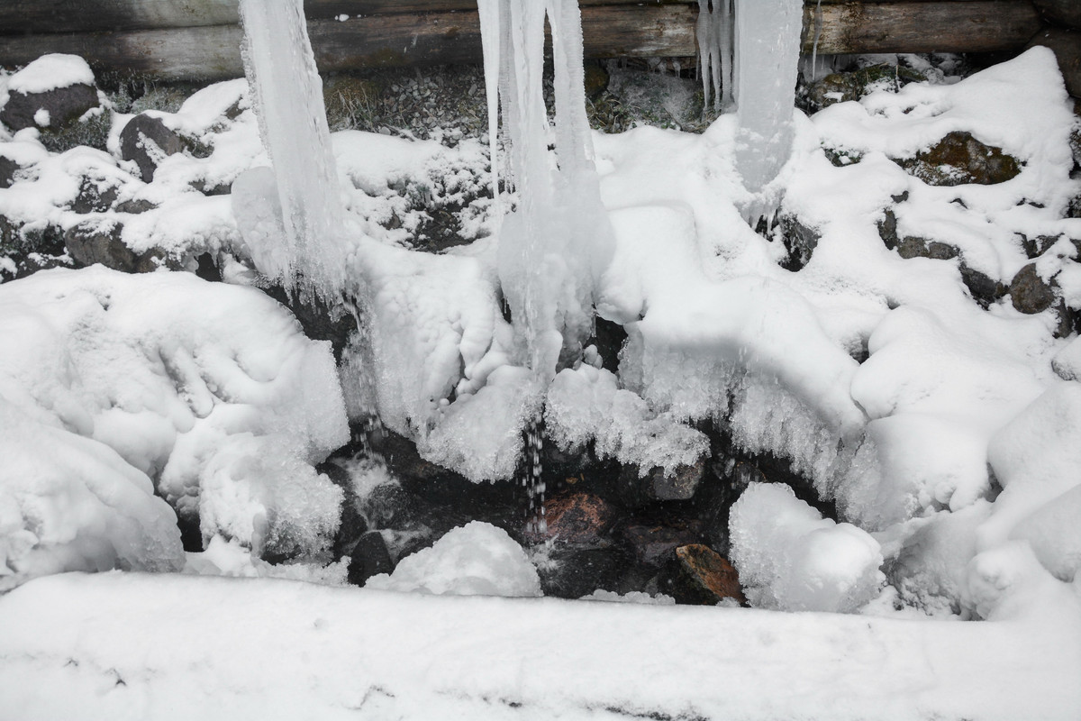 0089 2021 01 13 DSC 8220 — Postimages