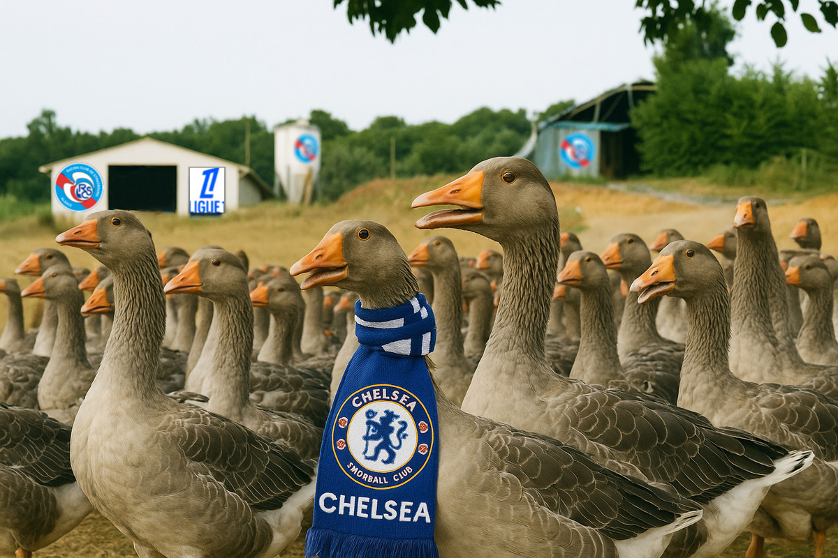 [Arrivée] Kendry Paez | racingstub.com