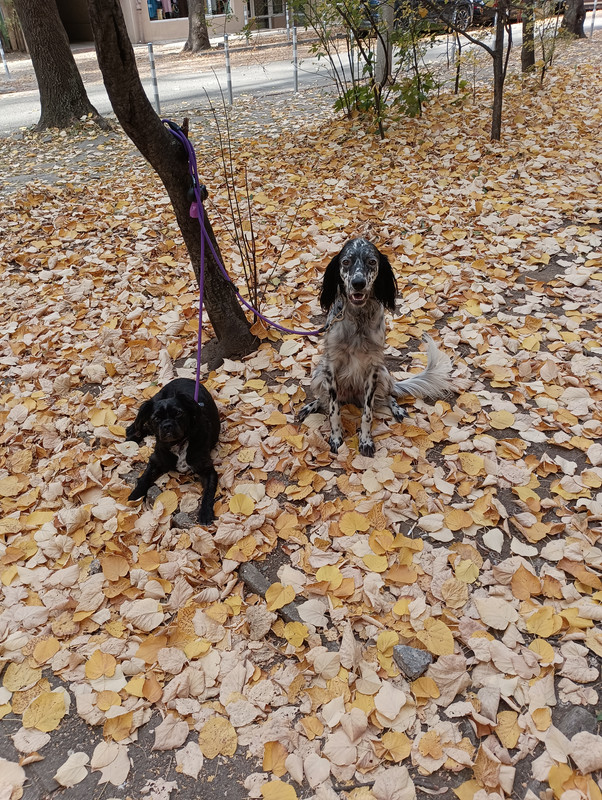 IMG 20221030 152758 — Postimages