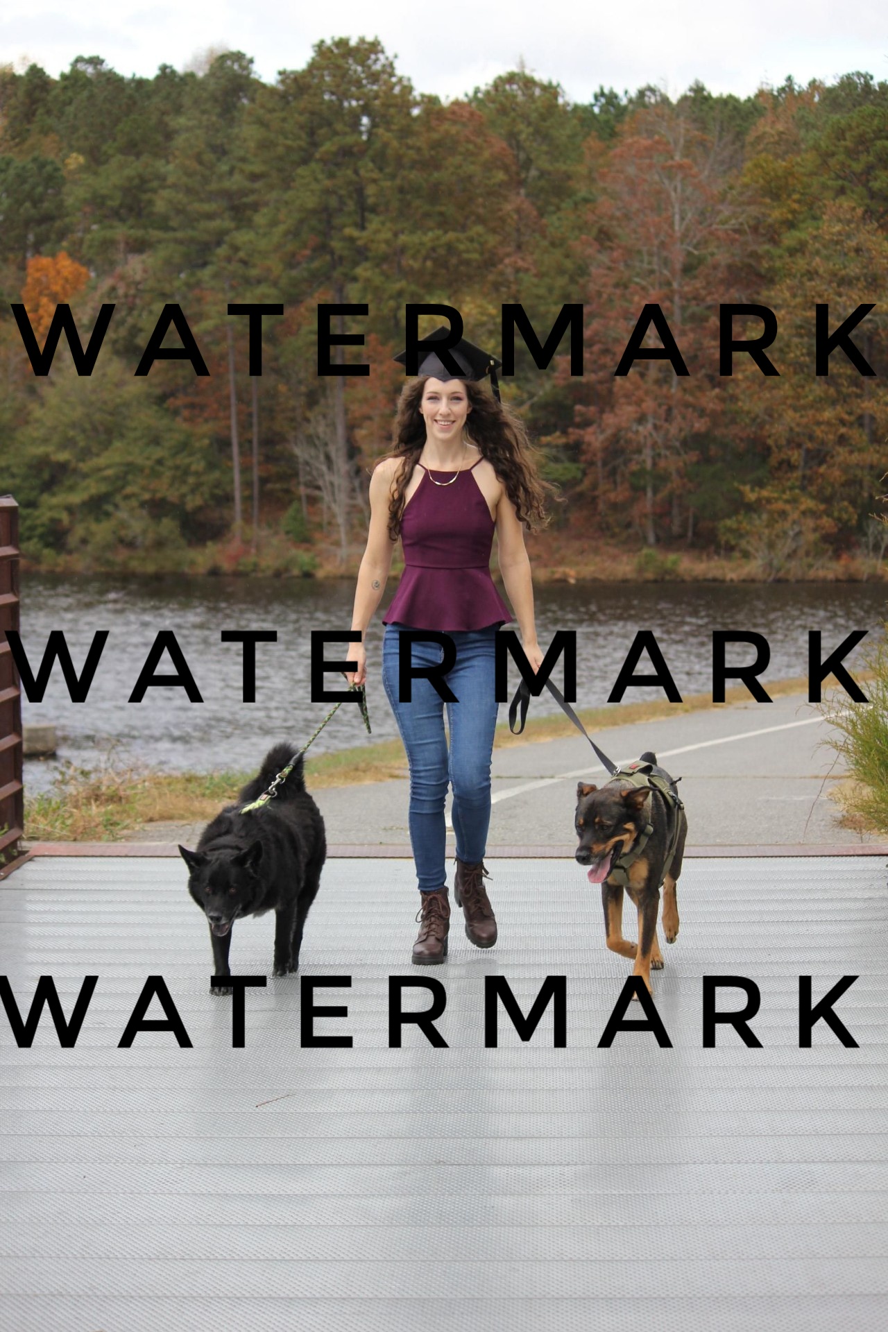 1667917616160 edited — Postimages