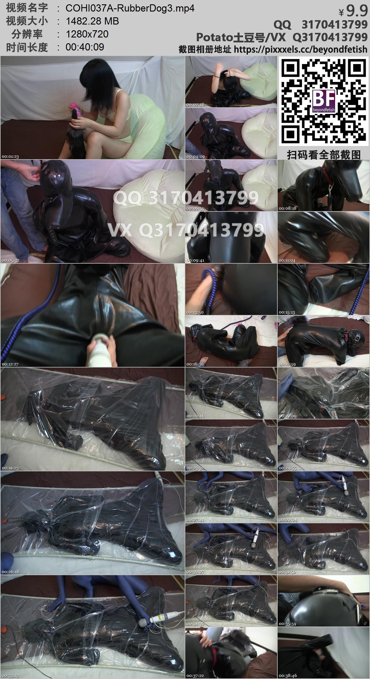 COHI037 A Rubber Dog3 — Postimages